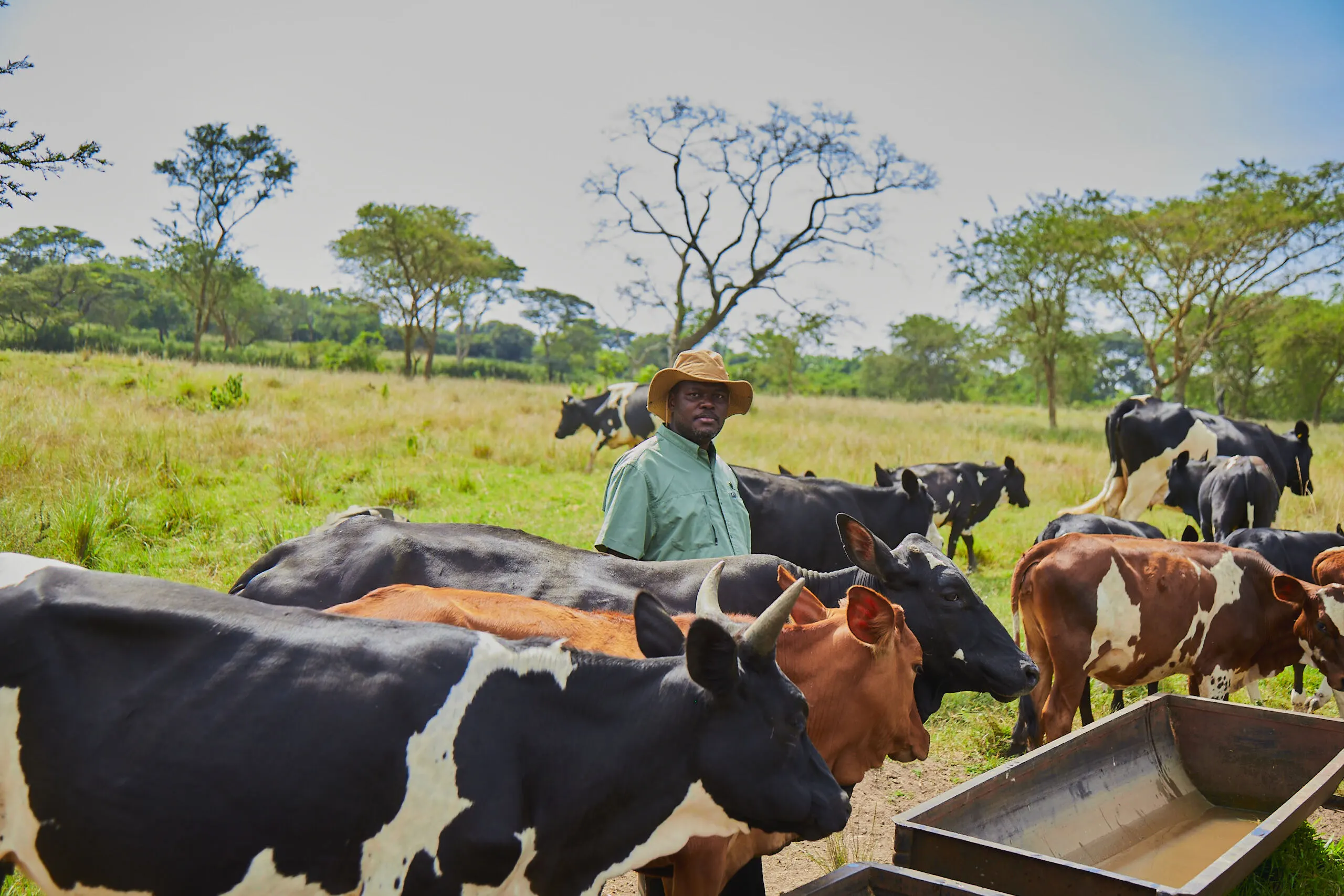 Global Alliance for Banking on Values